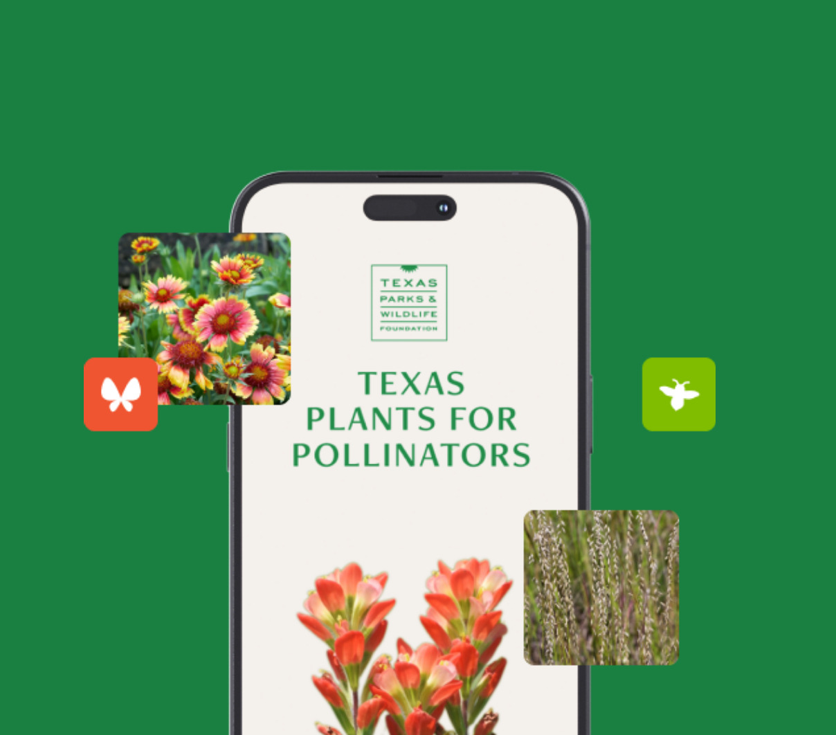 Resources - Pollinators and Prairies