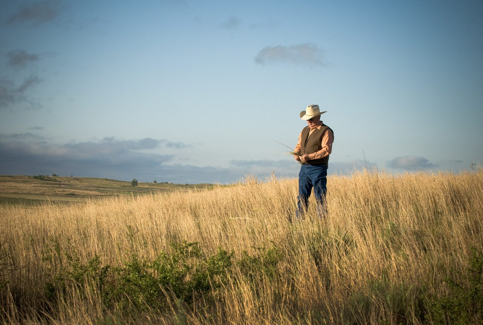 Restoration - Pollinators and Prairies